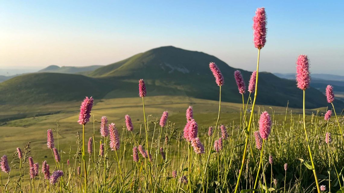 Sancy.com : Office de tourisme du Sancy en Auvergne